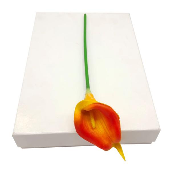 Quality Factory Ningbo fold quality sbs cardboard c1s ivory board for packing for sale