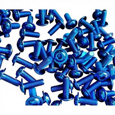 China Blue Anodized GR5 Titanium Bolts, Titanium Screws Nuts Washers Kit, High Strength Lightweight Corrosion Resistant Fasteners for sale