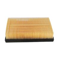 China High Performance Car Air Filters For Maximum Engine Efficiency for sale