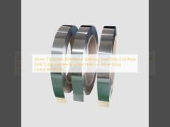 20 mm dikte 304 spiegel roestvrij staal strip spoel roze goud kleur haarlijn geborstelde strip voor reclame karakters woorden
