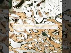 Weather Resistant Colored Stainless Steel for Exterior Wall Panels