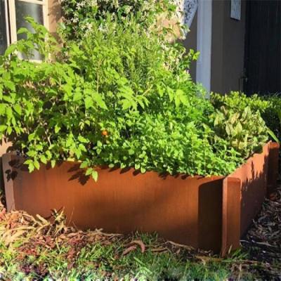 Cina L'acciaio all'aperto di Corten del quadrato ha alzato i letti per il bordo di verdure della piantatrice del fiore in vendita