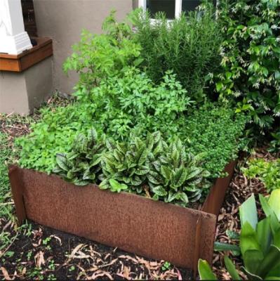Cina L'acciaio all'aperto di Corten del quadrato ha alzato i letti per il bordo di verdure della piantatrice del fiore in vendita