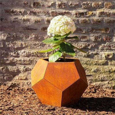Cina I vasi da fiori d'acciaio di Corten del grande giardino esagonale hanno arrugginito rosso per i pati in vendita
