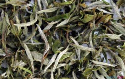 China High Quality natural organic White Peony tea Pai Mu Dan loose tea leaf for sale
