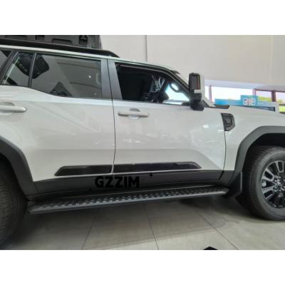 Cina Toyota Prado Land Cruiser 250 2024 Ricambi auto Porta laterale Moulding Porta protettore Trim in vendita