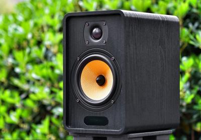 China Portable QE520 Active Bookshelf Hifi Speaker Multimedia Karaoke for sale