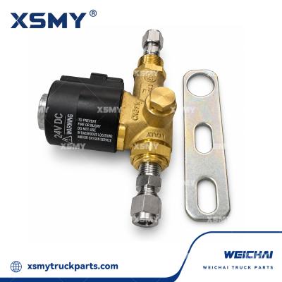 China DZ93259560902 High Pressure Solenoid Valve Coil Fuel System Control Coil for Weichai Heavy Duty Truck Engine for sale