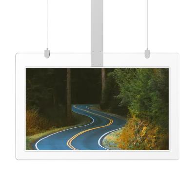Cina 700 pidocchi che appendono il visualizzatore digitale parteggiato doppio LCD trasparente dello schermo 55inch OLED in vendita