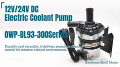 High Efficiency Electric Coolant Pump 100 watts for Battery Management System