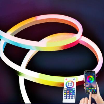 Cina Decorazione domestica all'aperto dell'interno al neon 12V di Antivari della luce di striscia del silicone del mostro 5m Smart in vendita