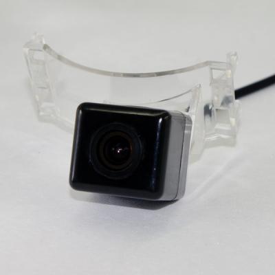Cina Fotocamera grande formato della parte posteriore dell'automobile di 480 TVL in vendita