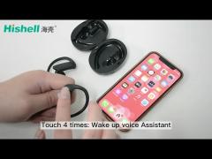 Hishell ANC Sport Bluetooth Earphones Wireless Anti Drop Headset H005