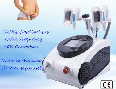 China Portable cryolipolysis fat freezing cool scultping machine ultrasonic cavitation rf slimming equipment for sale