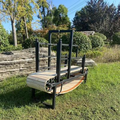 China light luxury indoor treadmill for dogs dog running machine dog exercise ramp for sale