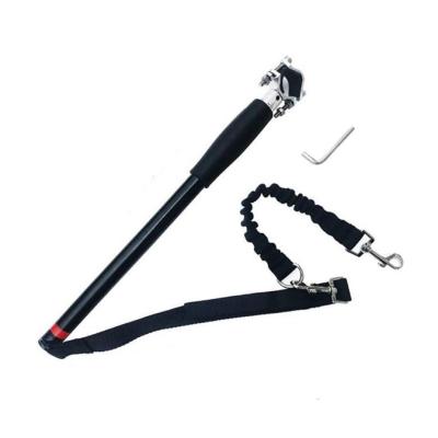 dog show leash