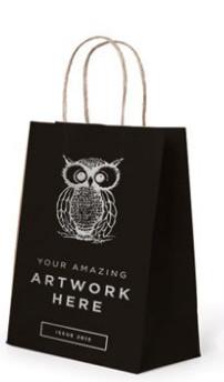 China Embossed Printing Paper Bag 250gsm Printed Paper Carrier Bags for sale