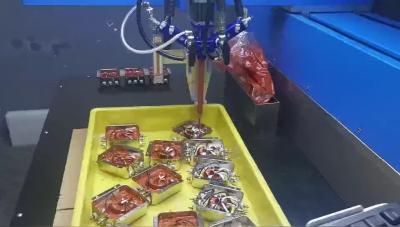 China Self-Cleaning CCD Visual Two Component Glue Dispensing Potting Metering Machine for sale