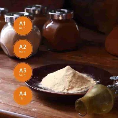 Cina Polvere della spora di Organinc Ganoderma dei polisaccaridi dell'estratto di Reishi dell'estrazione dell'acqua in vendita
