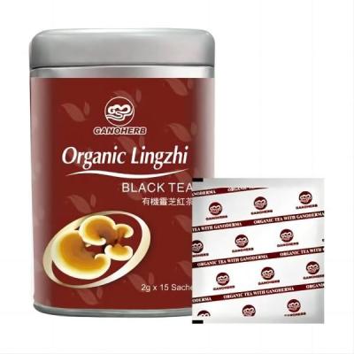 中国 有機性霊芝は紅茶試供品が付いている茶霊芝のきのこの急速に広まる 販売のため