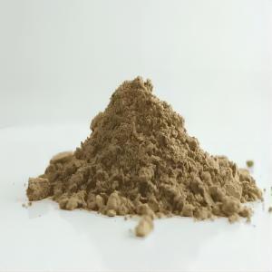 Cina Il fungo puro di 100% Coriolus spolverizza il fungo di Brown Polypore senza trasportatore in vendita