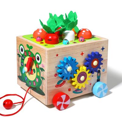 China Children's Multi-functional Educational Toy Gear and Carrot Pulling Learning Activity Box for sale