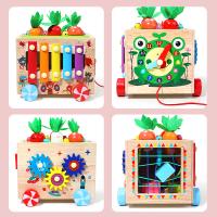 China MWZ-38.5 Multifunctional Educational Toy Gear and Carrot Pulling Activity Box 61.5×38.5×39.5cm for sale
