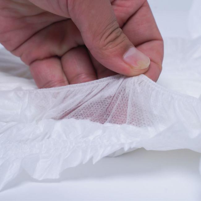 Disposable female dog diaper product photo showing multiple sizes