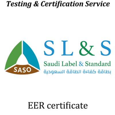 Cina Certificazione Saso Saber Certificazione Medio Oriente in vendita