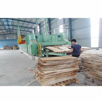 Cina Forno più asciutto dell'impiallacciatura efficiente del rullo per la linea di produzione del compensato in vendita