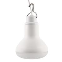China 10W LED USB Light Bulb with Adjustable Switch for Outdoor Camping Emergency for sale