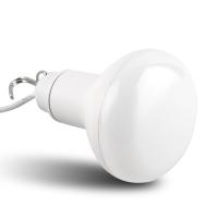 China 10W LED USB Light Bulb with Adjustable Switch for Outdoor Camping Emergency for sale