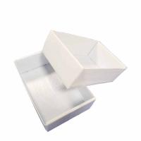 China Shakeproof Corrugated Plastic Crates Waterproof White Storage Wardrobe Box for sale