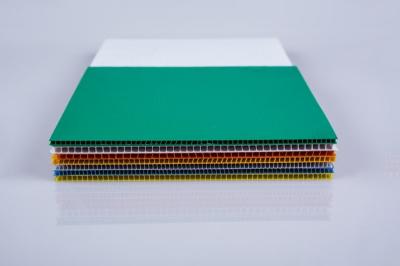 China Customized  Plastic Corrugated Sheet Green 4mm PP Plastic Hollow Sheet Corflute Sign for sale
