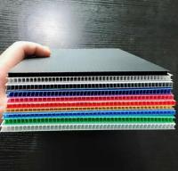 China Customized Plastic Corrugated Sheet Hollow Panel Length Smooth And Matt Surface for sale