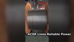 95/15 Aluminum Conductor Steel Reinforced Bare Overhead Transmission Lines