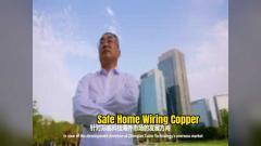 Copper Cable House Electric Wiring Cable BV Multi Purpose 1.5mm2 Single Core PVC Insulated