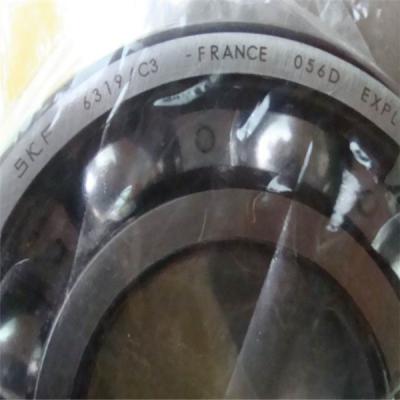 Cina Palle con cuscinetto a sfera di PumpSteel dell'acqua di Waer di perdita 6407 della singola scanalatura profonda bassa di fila in vendita