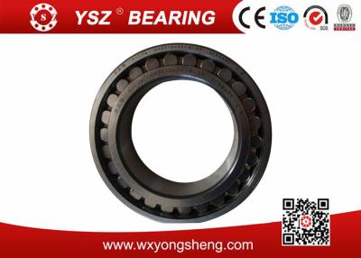 China INA Full Complement Cylindrical Roller Bearings SL014838 GCr15 Double Row for sale