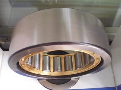 China High Percision Cylindrical Roller Thrust Bearings Chrome Steel With SL04 5004PP Full Complement for sale