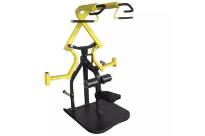 Cina Roman Chair Outdoor Sports Equipments caricato tir indietroare l'attrezzatura di addestramento di forza in vendita