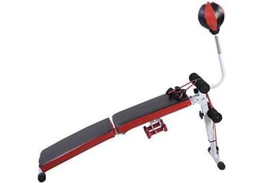 Cina Oem Adjustable Incline Sit Up Dumbbell Bench With Speed Ball And Pull Ropes in vendita