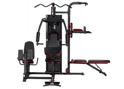 Cina Apparecchiature di fitness commerciali Esercizi di forza per gambe Allenatore di gambe in vendita