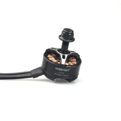 China Factory & Customizable & Balanced BLDC C2205 Brushless Drone Motor for RC FPV Racing Car Airplane Quadcopter Multicopter for sale