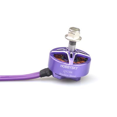 China Factory & Customizable&Balanced QN2306 Brushless DC Drive Motor for FPV Mini RC Multicopter Quadcopter Gopro Fixed-wing Airplane for sale