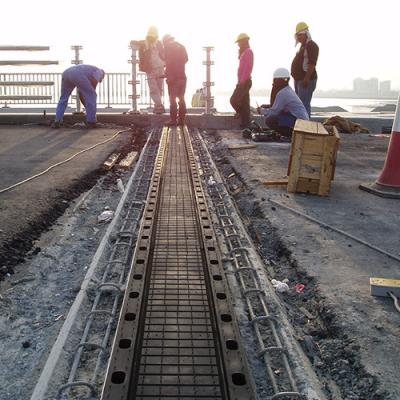 China Heavy Traffic Rubber Bridge Expansion Joint Road Anti Corrosion Loading Joint for sale