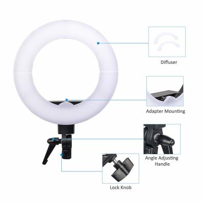 Cina 60W/80W vivono luce dell'anello principale Dimmable della corrente per il tiro facciale di bellezza in vendita