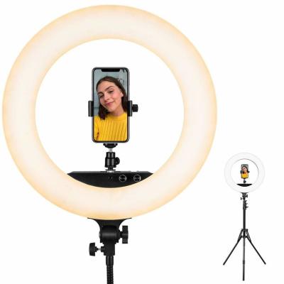 Cina Il colore regolabile Dimmable luminoso ha condotto la luce dell'anello con il supporto del telefono del supporto in vendita