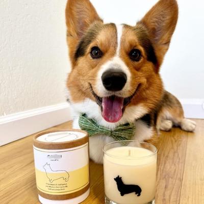 China Factory Wholesale Customize Eco Friendly White Cardboard Paper Tube Packaging Paper Box for Pet Treats Towel Hair Pin Candle for sale