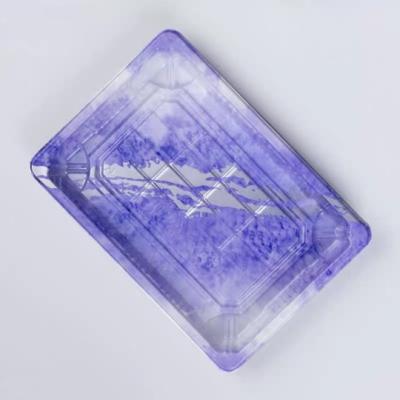 China Custom Cake Packaging Transparent Disposable Takeout Sushi Tray Rectangular Plastic Sushi Food Packing Tray Sushi Box with Lid for sale